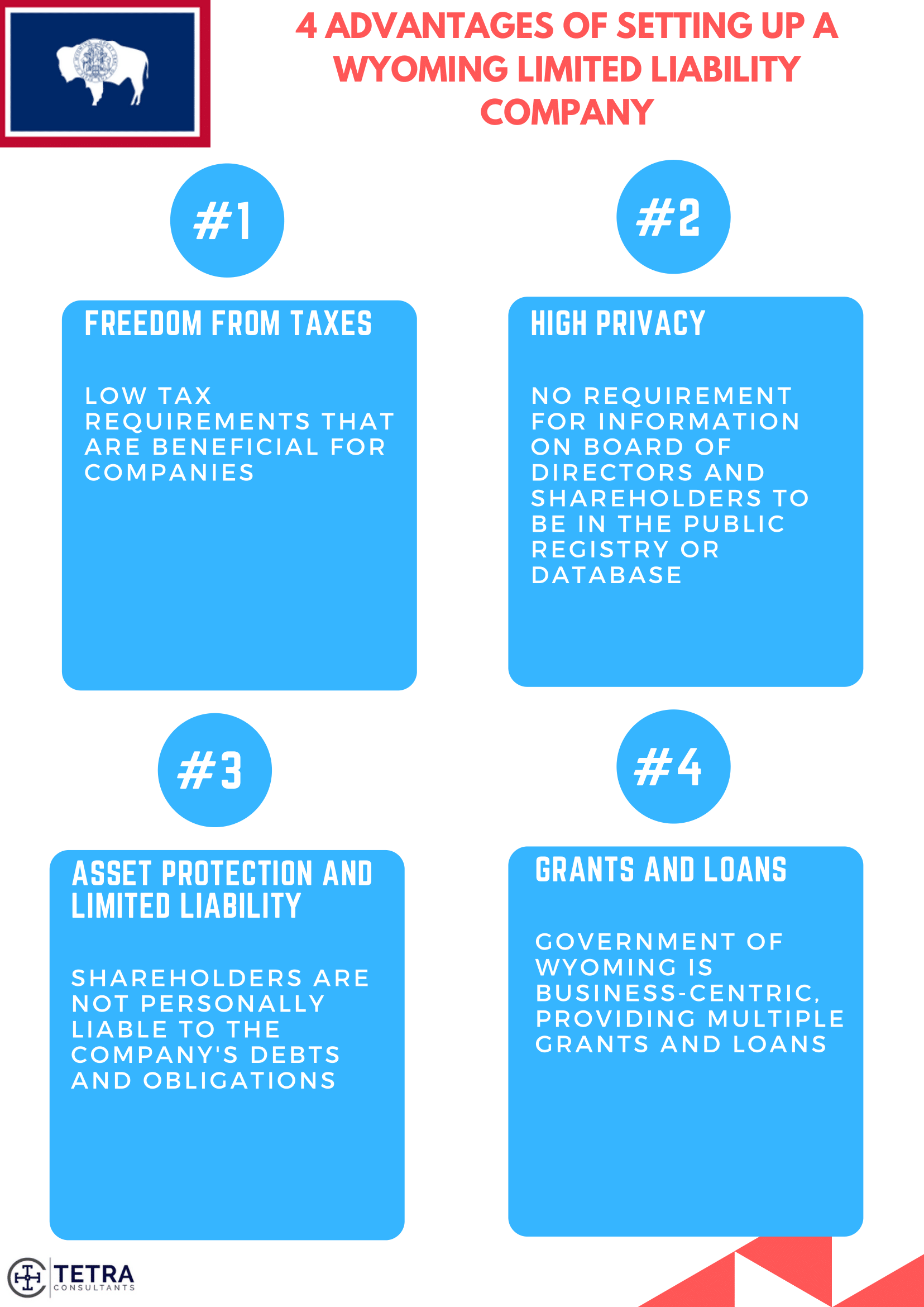 4 Advantages of Setting up a Wyoming Limited Liability Company