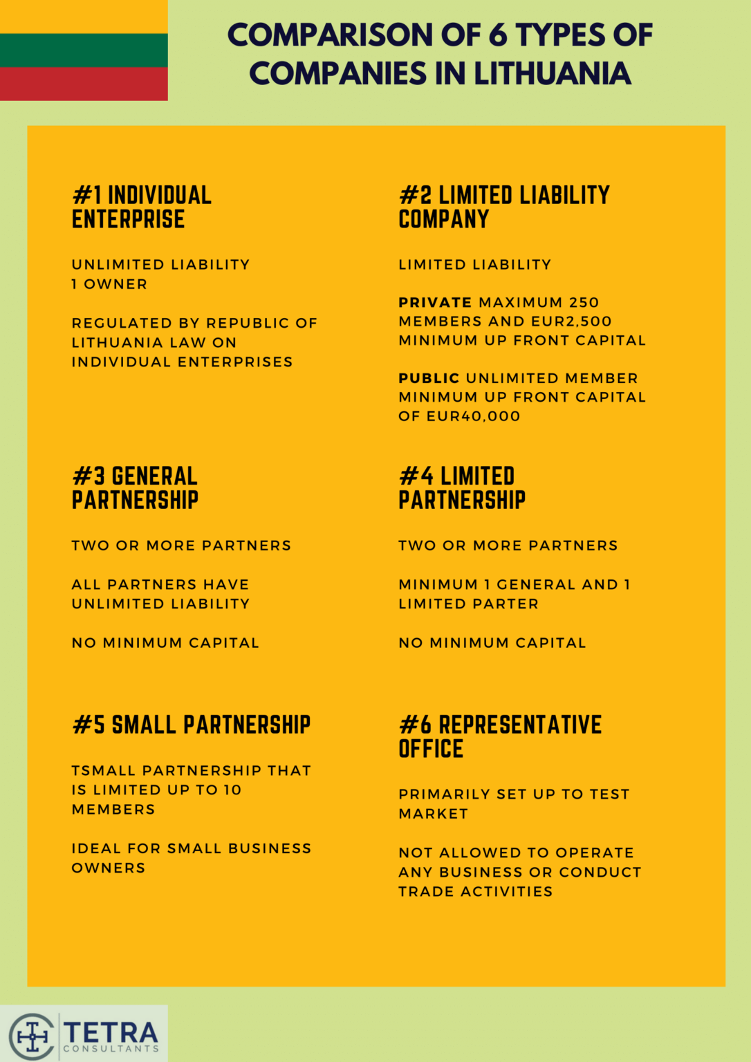 A Detailed Comparison of the 6 Types of Companies in Lithuania