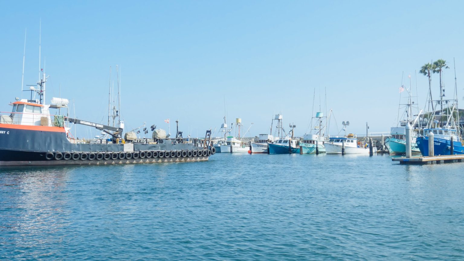 Register Company in Belize within 1 week | Tetra Consultants